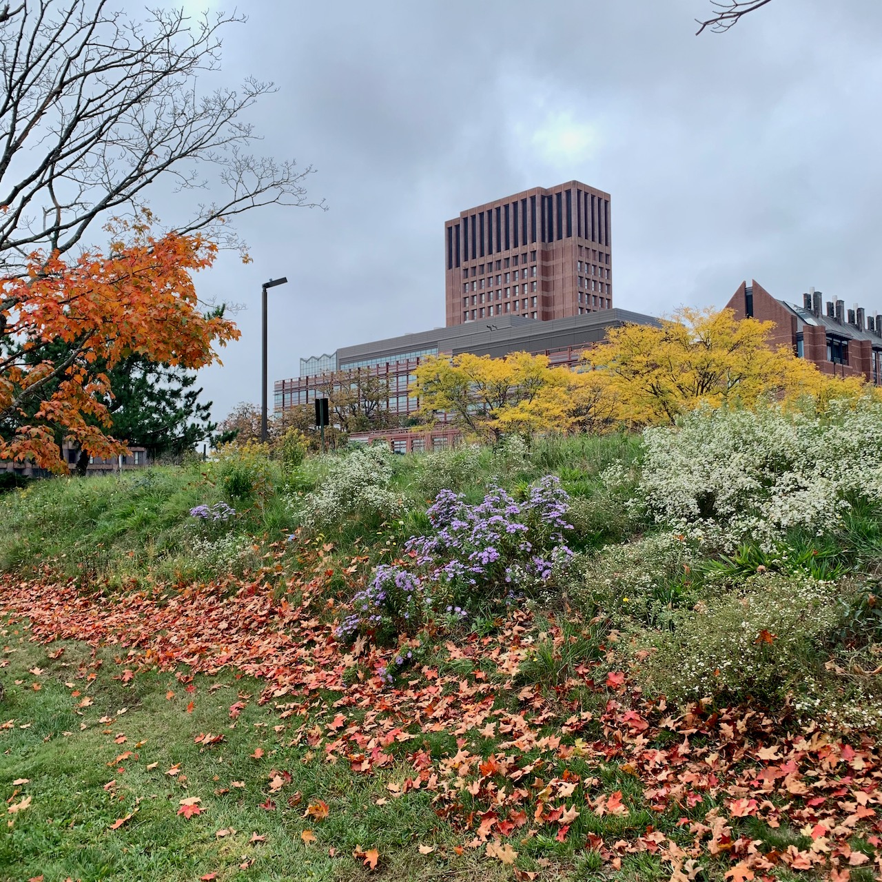 Autumn's palette | Daily Snap | Yale Alumni Magazine