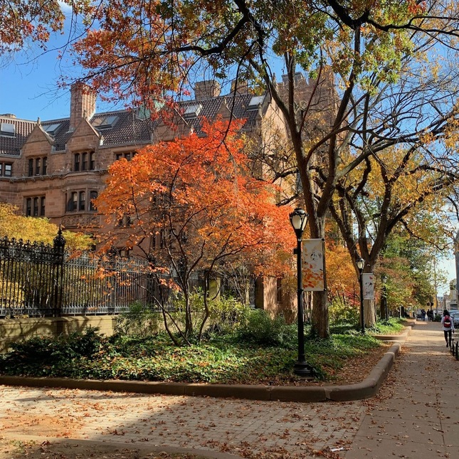 Calendar change | Daily Snap | Yale Alumni Magazine