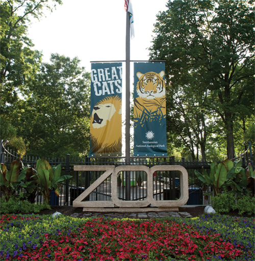 Alumni by the numbers: zip codes | Light & Verity | Yale Alumni Magazine
