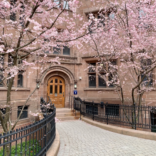 April flowers | Daily Snap | Yale Alumni Magazine