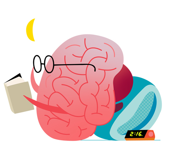 Getting sleepy? | Findings | Yale Alumni Magazine