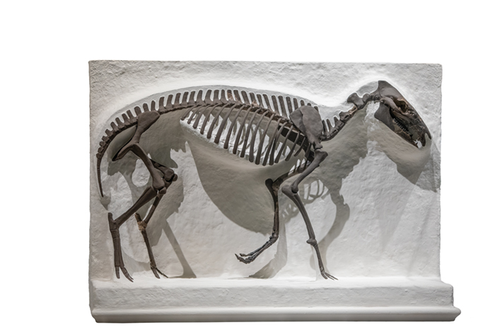 The ancient past: new and improved | Features | Yale Alumni Magazine