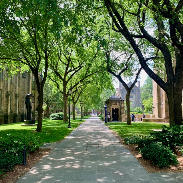 Lazy days | Daily Snap | Yale Alumni Magazine