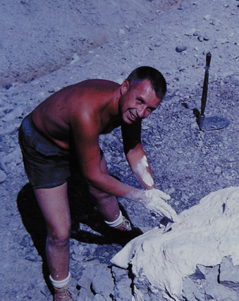 The man who saved the dinosaurs | Features | Yale Alumni Magazine