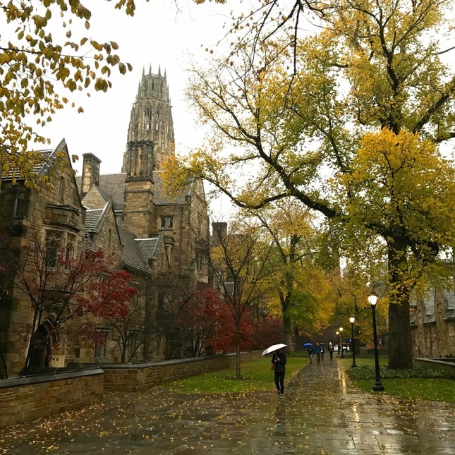 Wet walk | Daily Snap | Yale Alumni Magazine