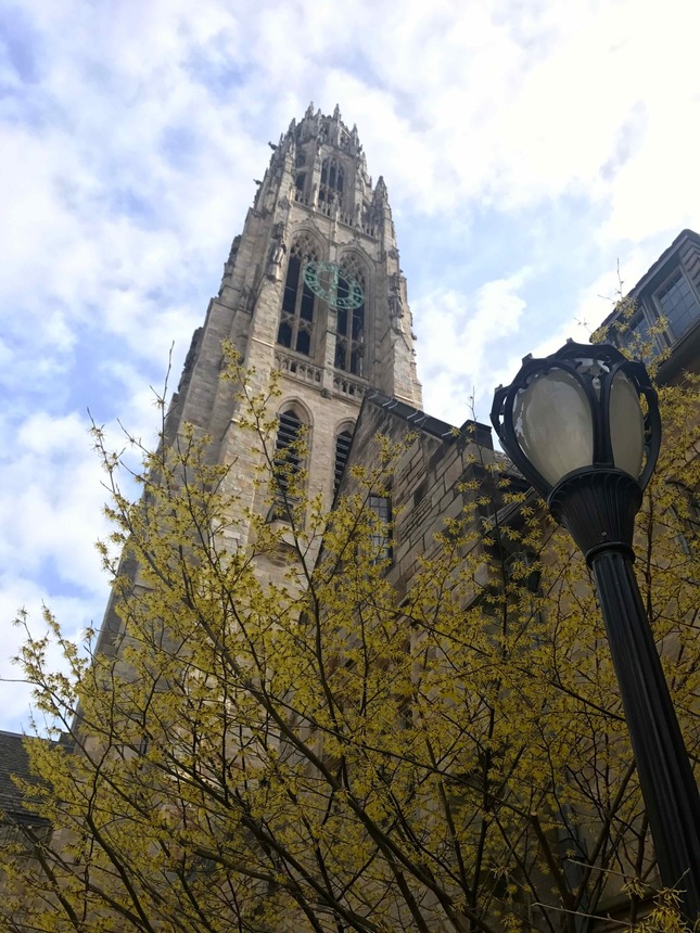 More signs of spring | Daily Snap | Yale Alumni Magazine