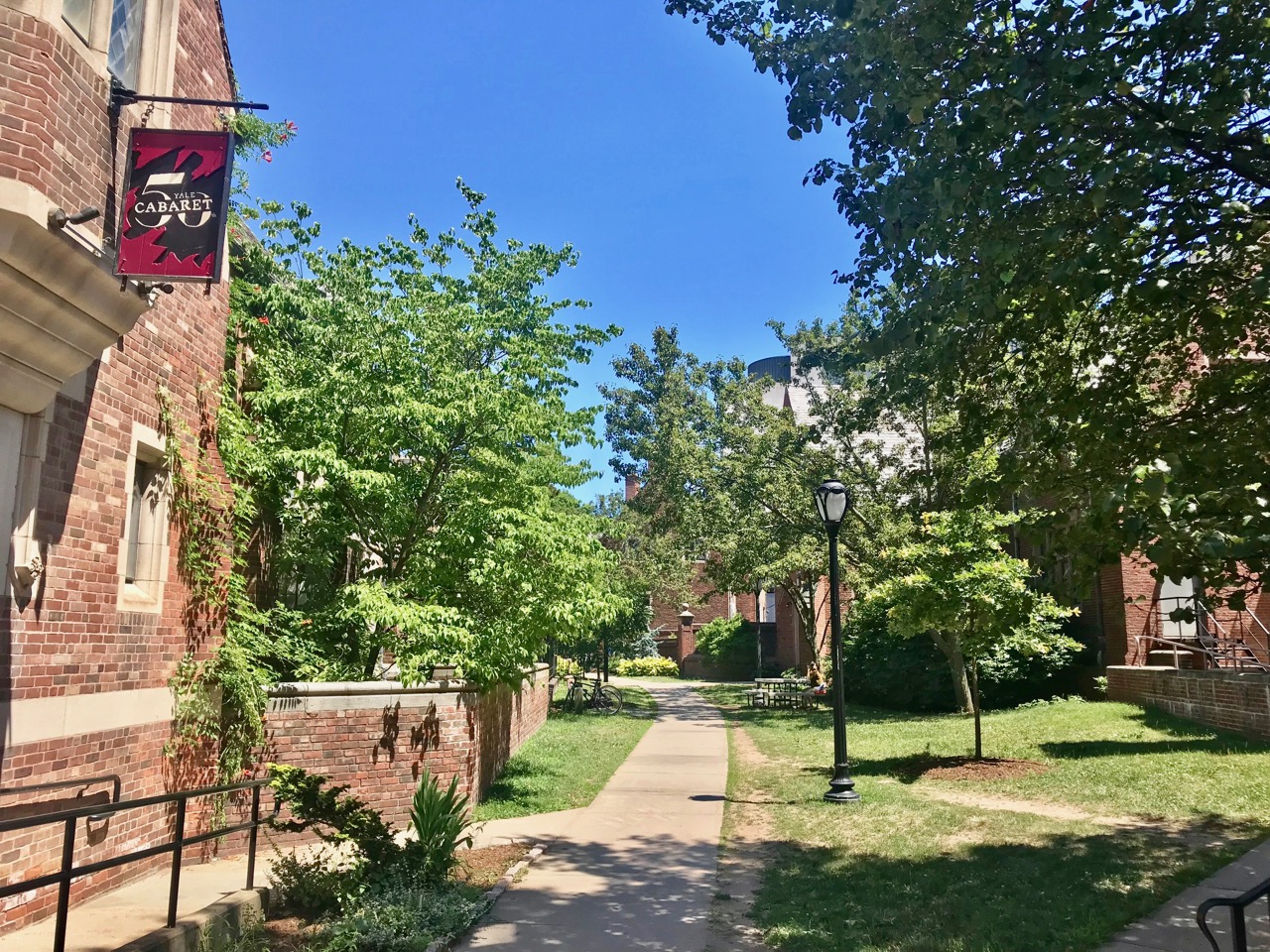 Where the boys were | Daily Snap | Yale Alumni Magazine