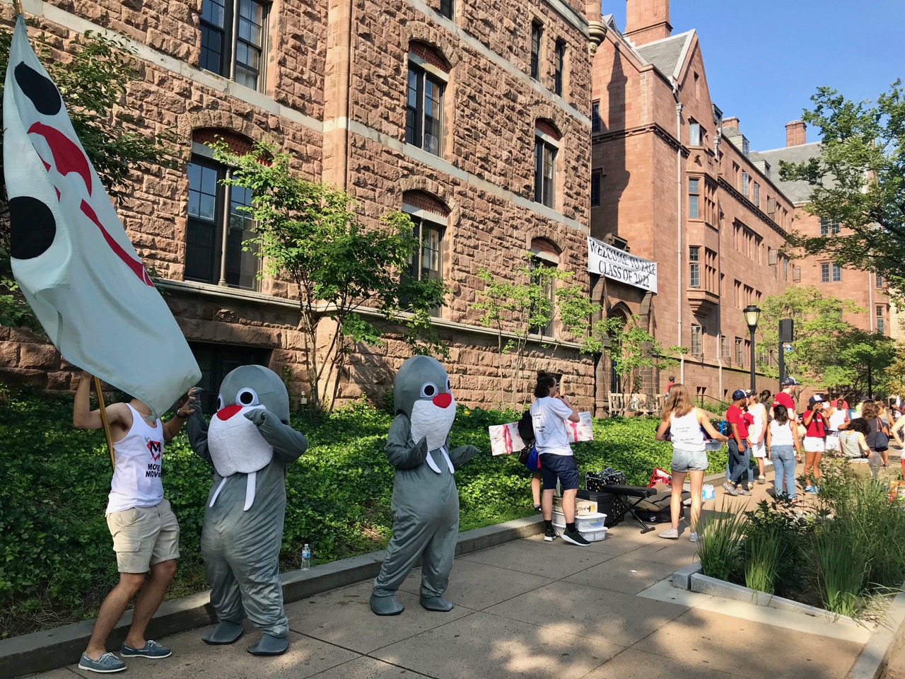 Hero’s welcome | Daily Snap | Yale Alumni Magazine